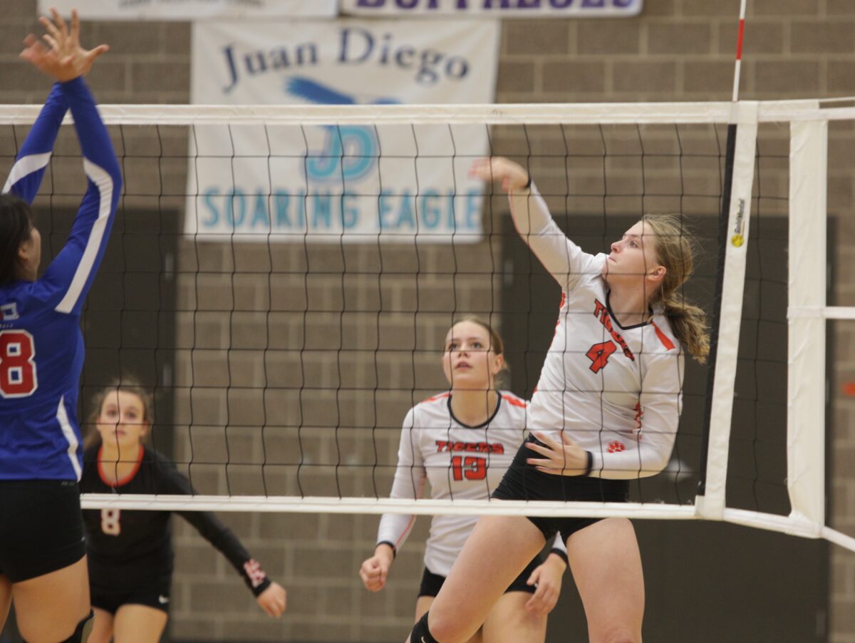 Prep volleyball: Previewing the area teams in 3A Region 13 and 2A ...